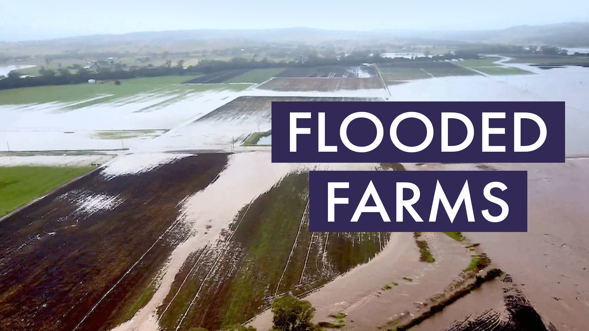 Flooded Farms Video & Resources | ClickView