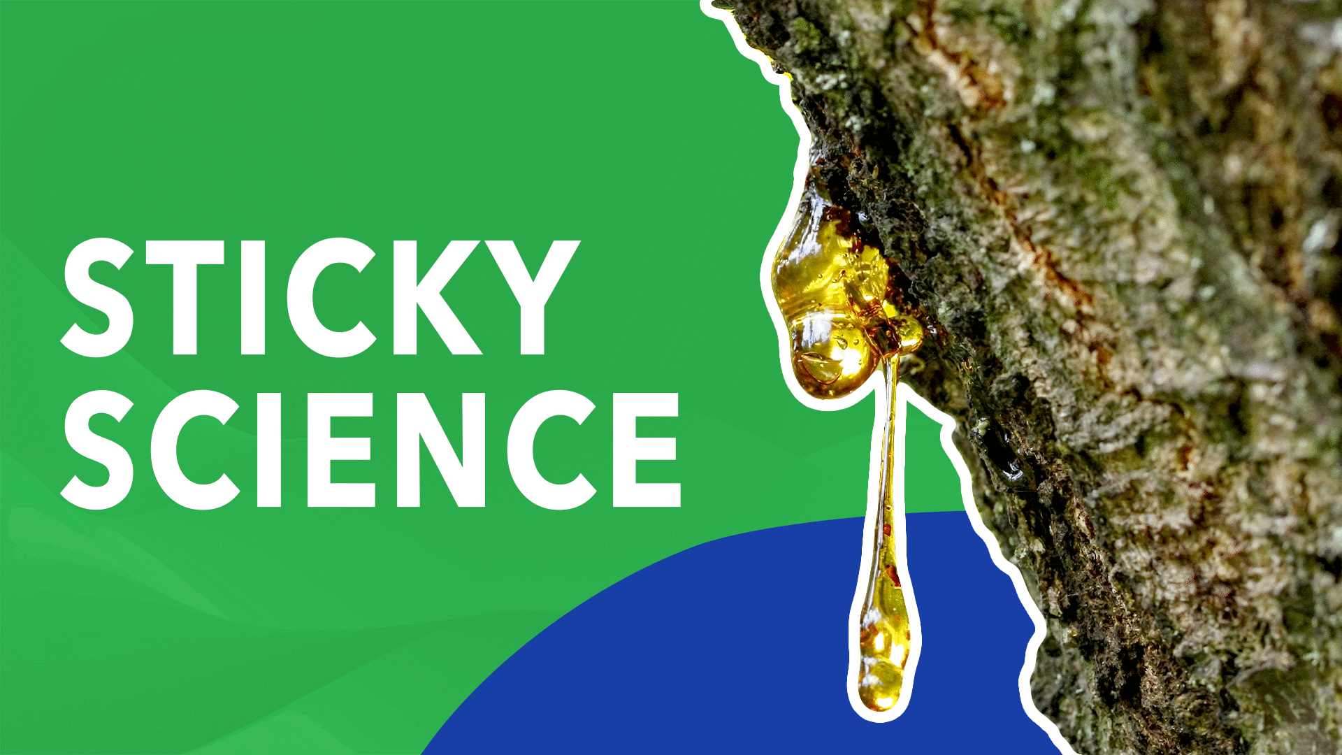 Sticky Science Recording | Streamable Learning