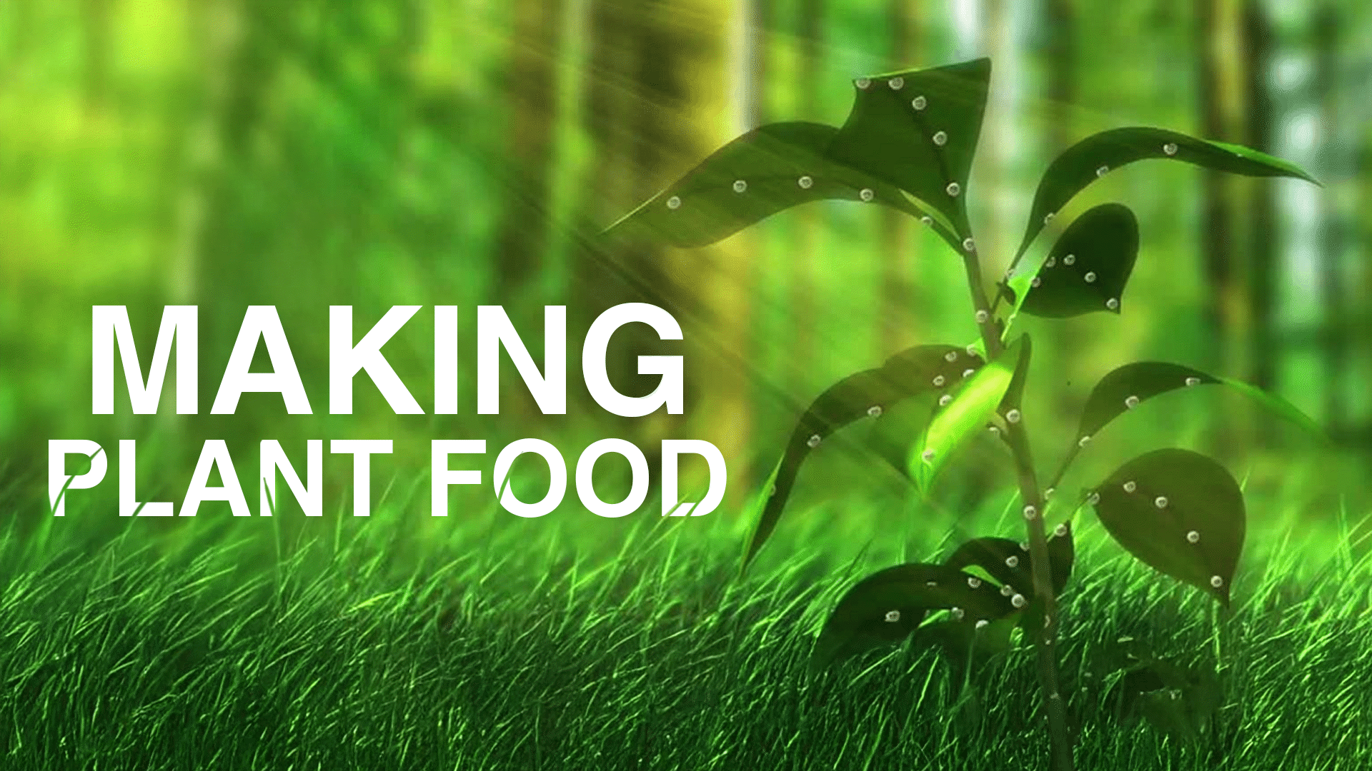 Food and Digestion Videos & Resources | ClickView