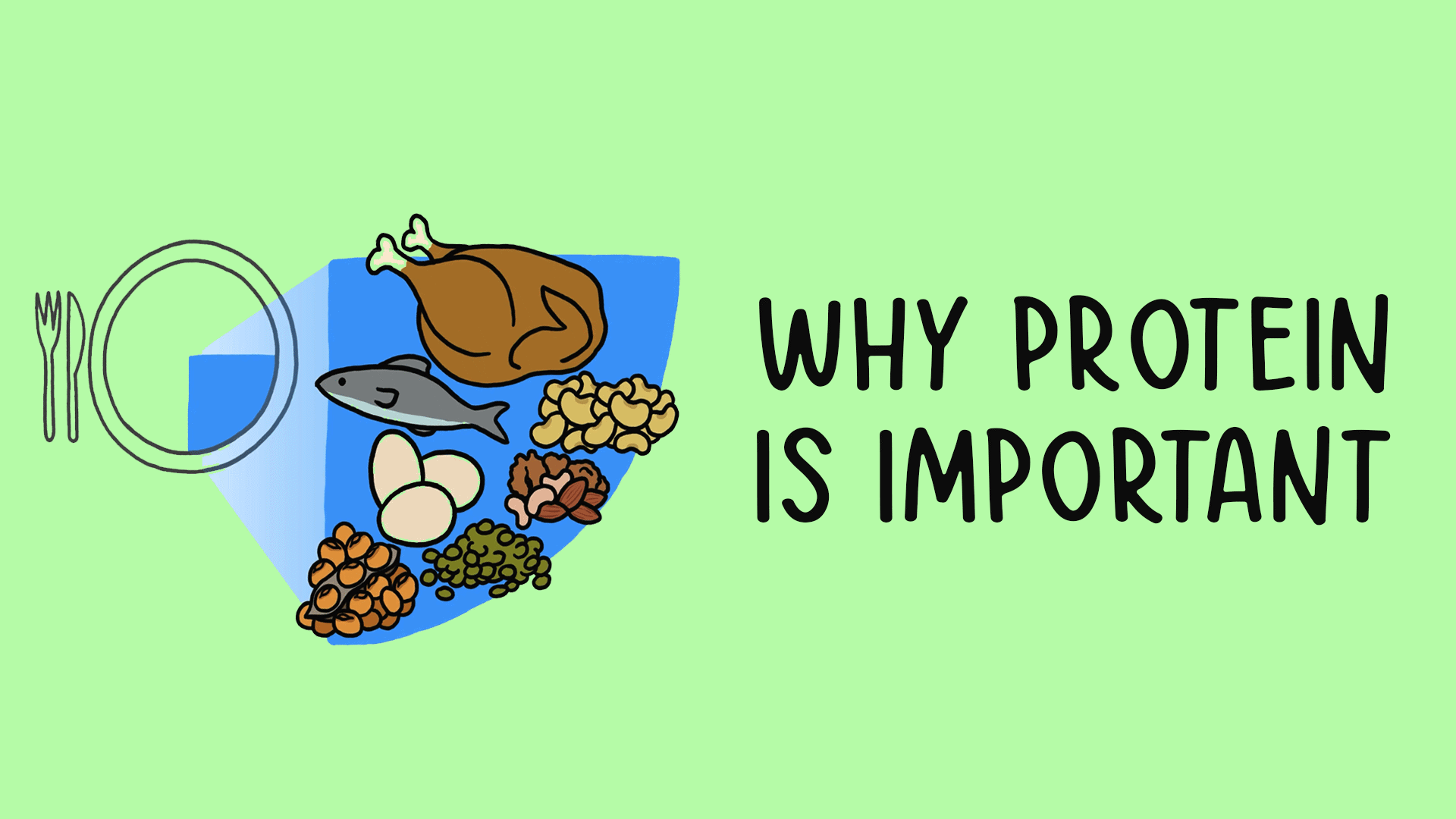 Proteins: Explained Video & Resources | ClickView
