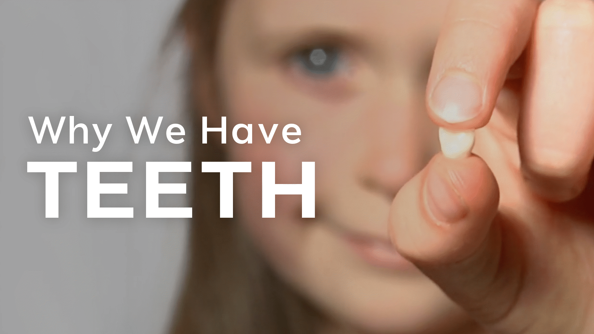 Function of Teeth Video & Resources | ClickView