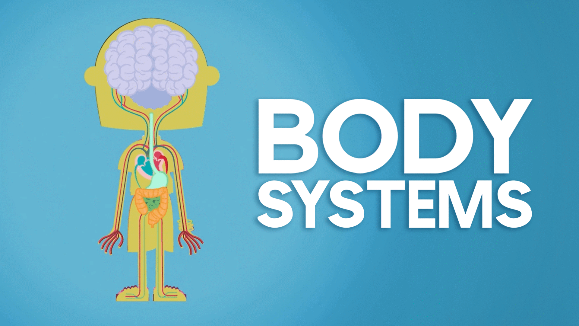 Systems of the Human Body - ClickView