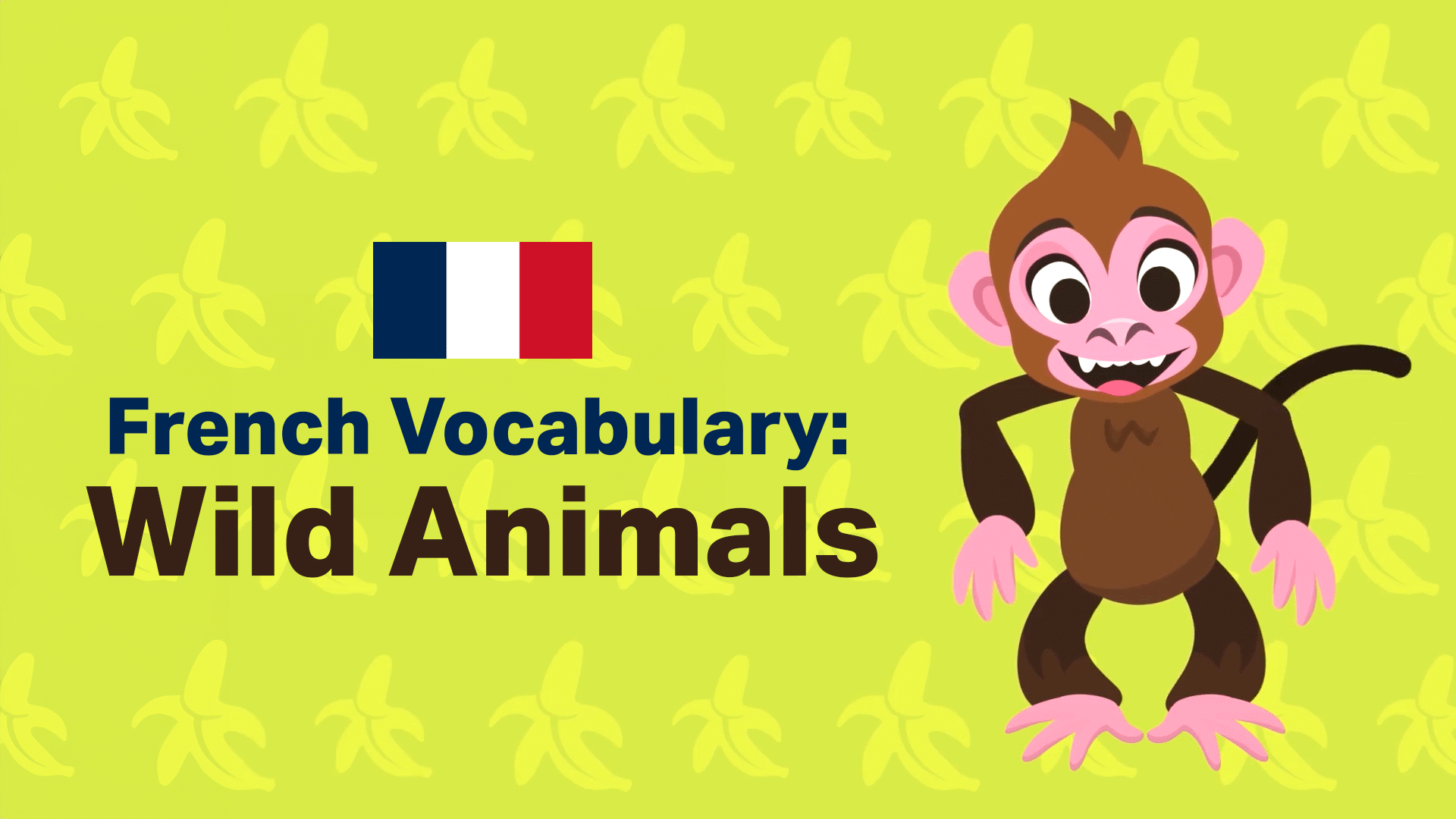 Wild Animals (Les Animaux Sauvages) | ClickView