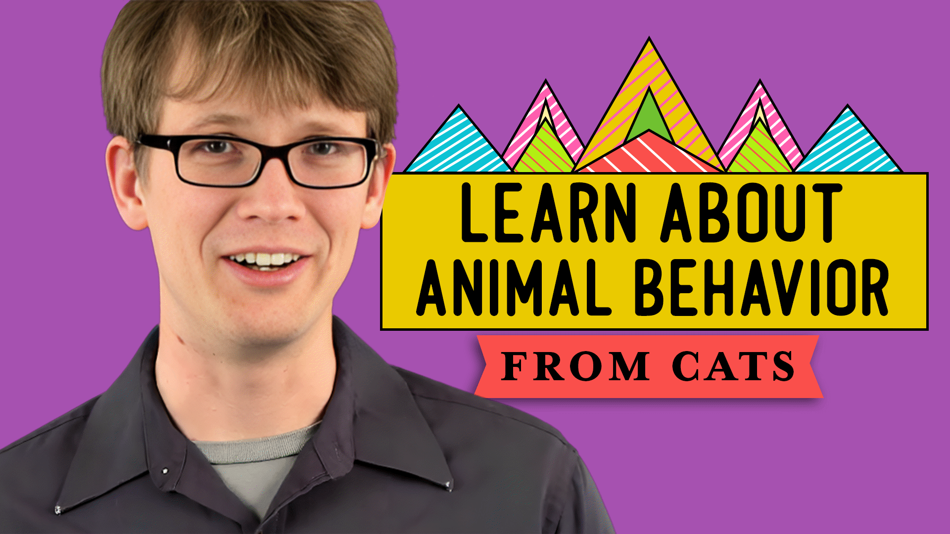 Adaptation Videos, Resources & Worksheets | ClickView