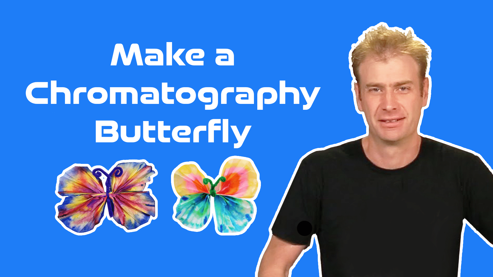 Chromatography Butterfly Video & Resources | ClickView