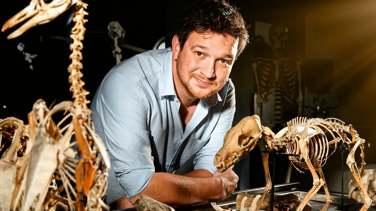 Secrets of Bones - Airs 7:30 PM 17 Jul 2023 on BBC FOUR HD - ClickView