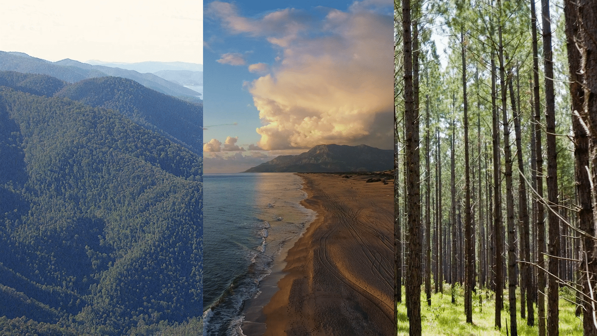 The Importance of Place and Past | ClickView