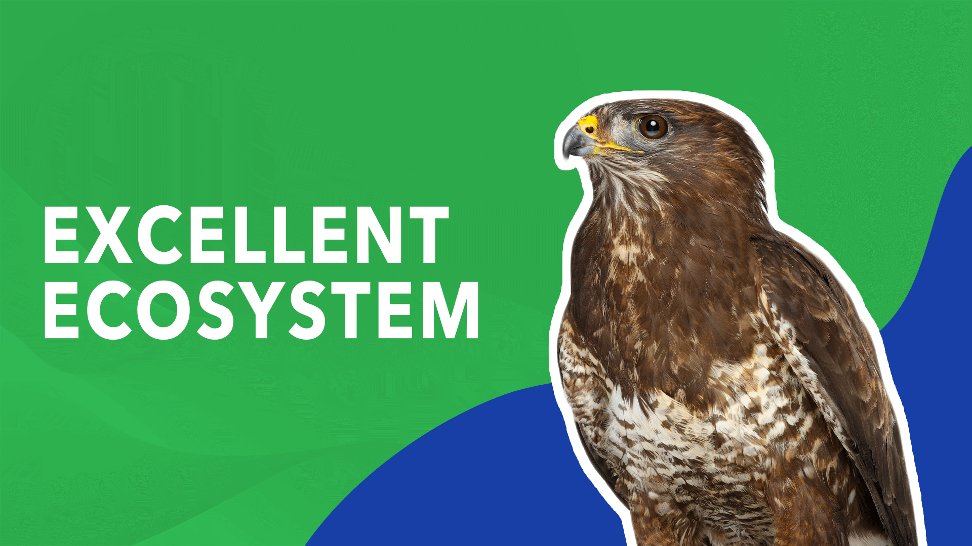 Excellent Ecosystem Recording | Streamable Learning