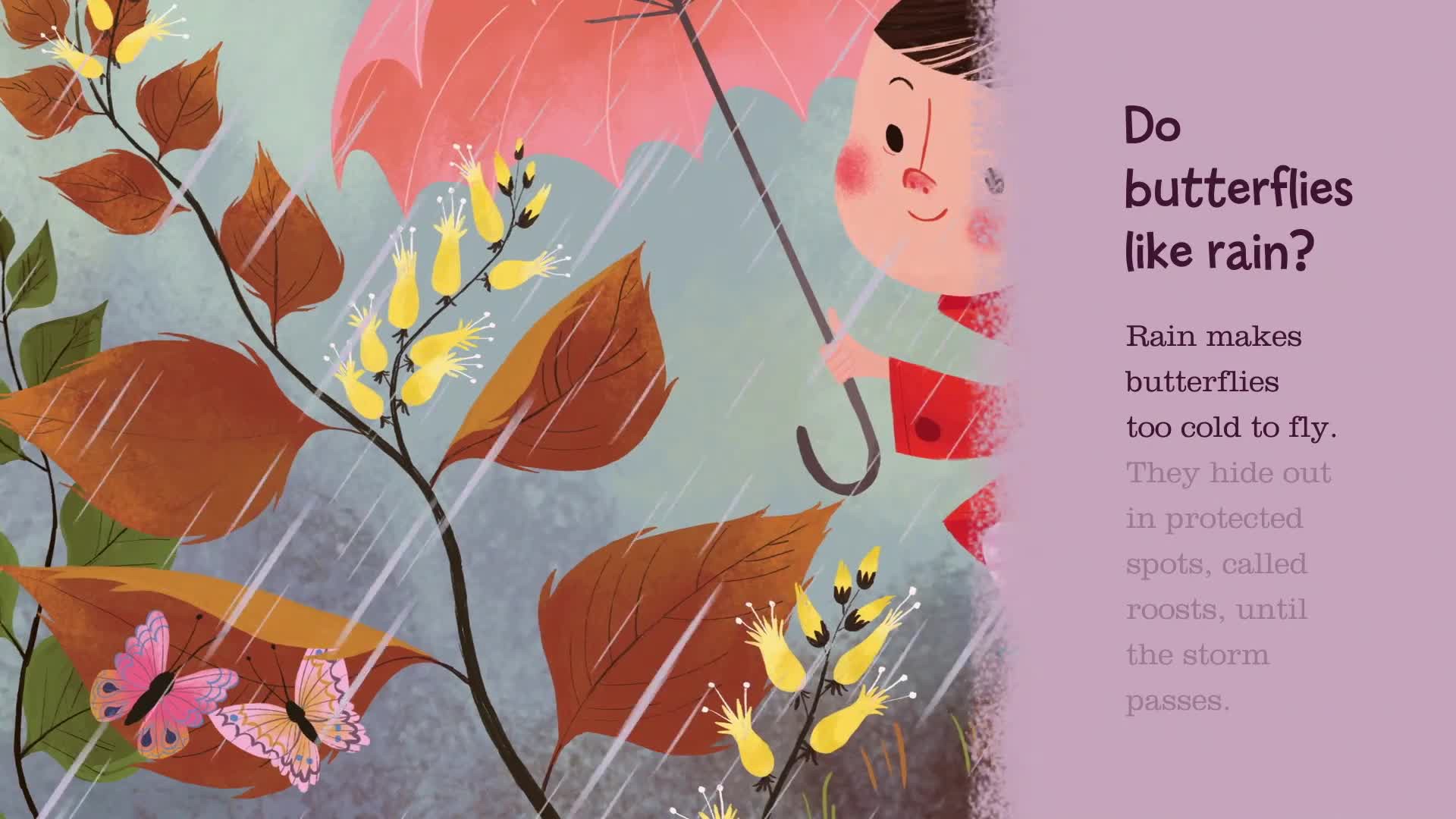 Science Videos, Resources & Worksheets | ClickView