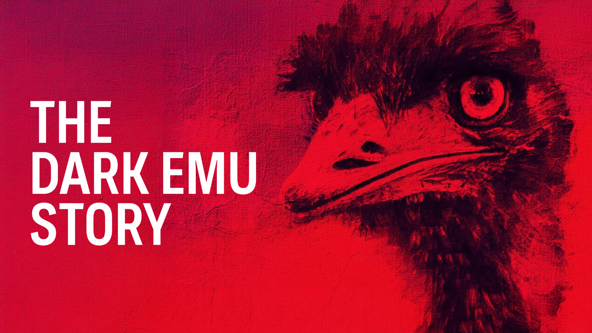 The Dark Emu Story Video & Resources | ClickView