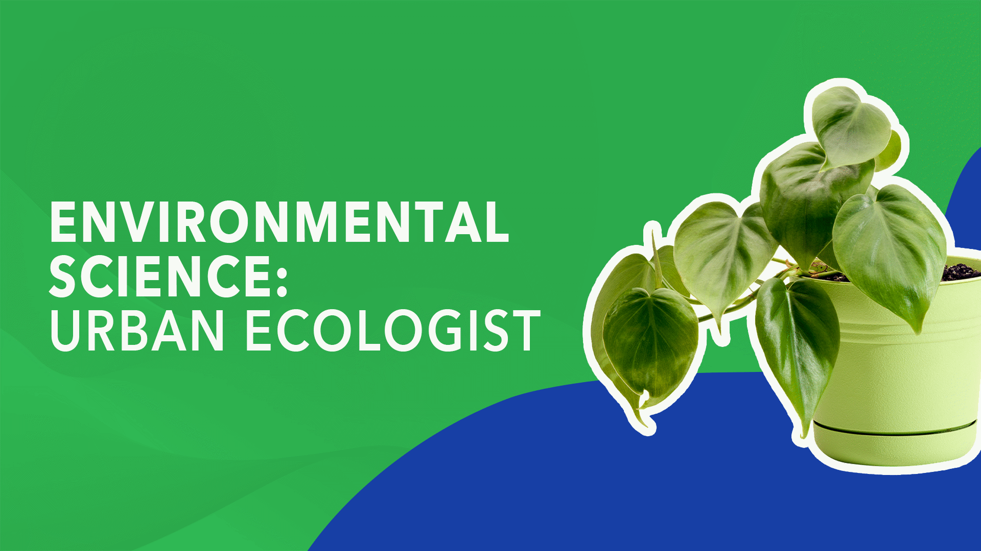 Quinta Mazatlan presents Environmental Science: Urban Ecologist ...