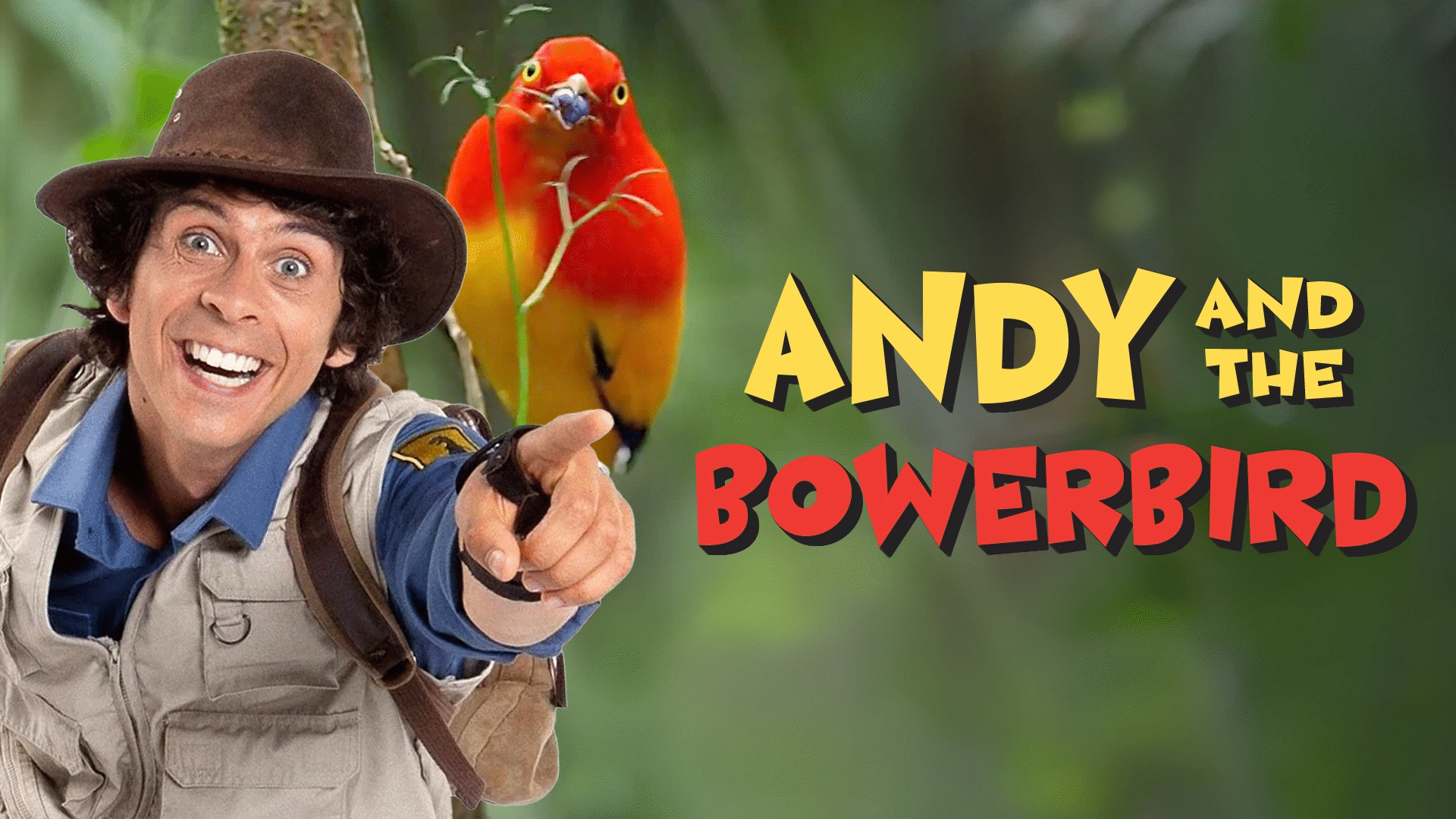 Andy and the Bowerbird Video & Resources | ClickView