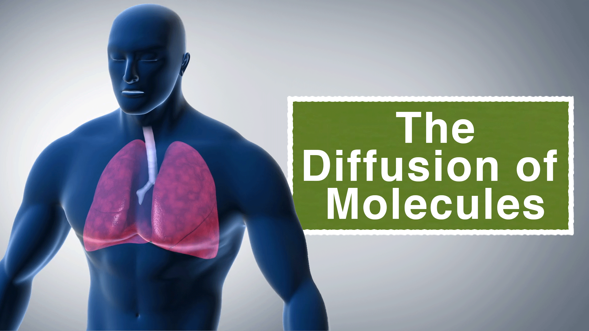 What Is the Diffusion of Molecules? | ClickView