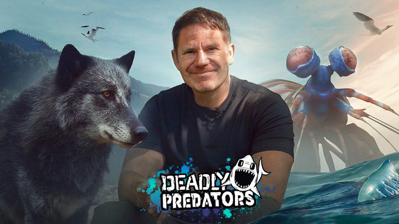 Deadly Predators - Airs 7:01 PM 3 Sep 2023 on ABC ME - ClickView