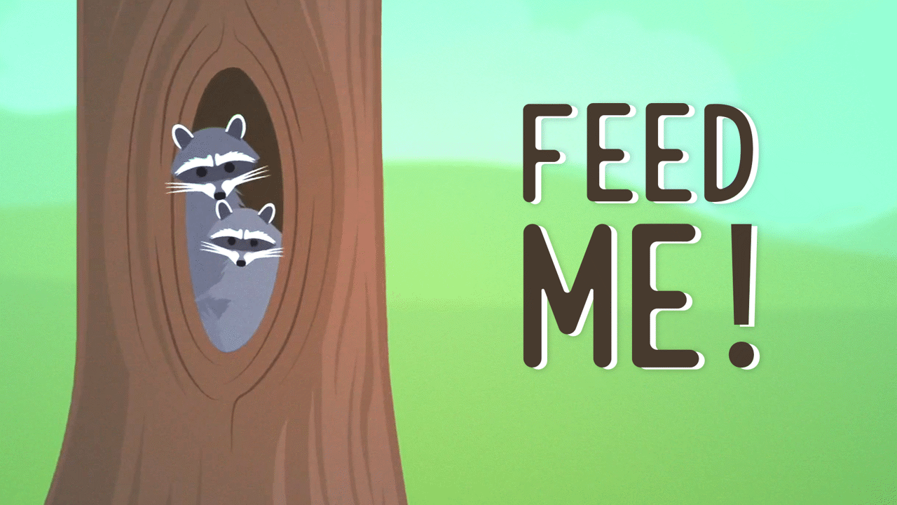 Crash Course Kids: Ecosystems and Flow of Energy | ClickView