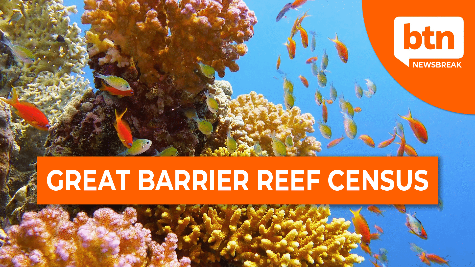 The Great Barrier Reef | ClickView
