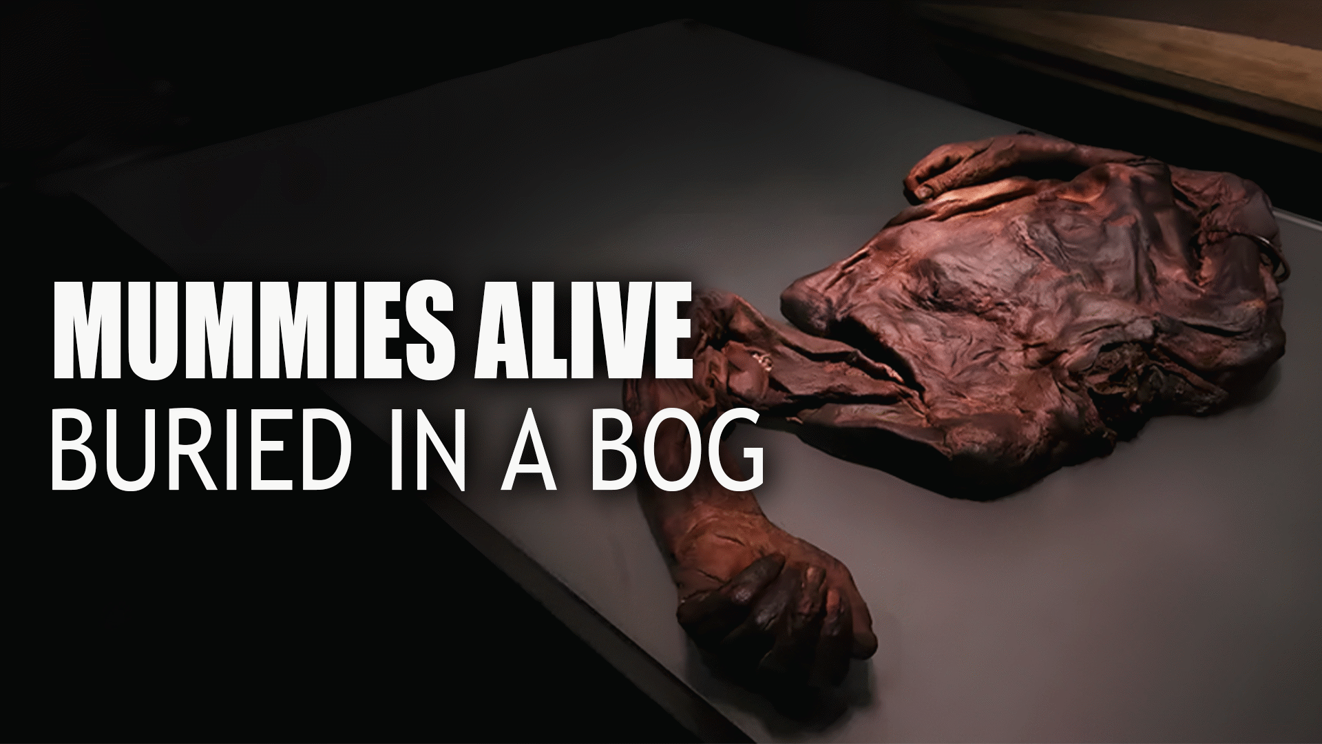 Mummies Alive Videos & Resources | ClickView