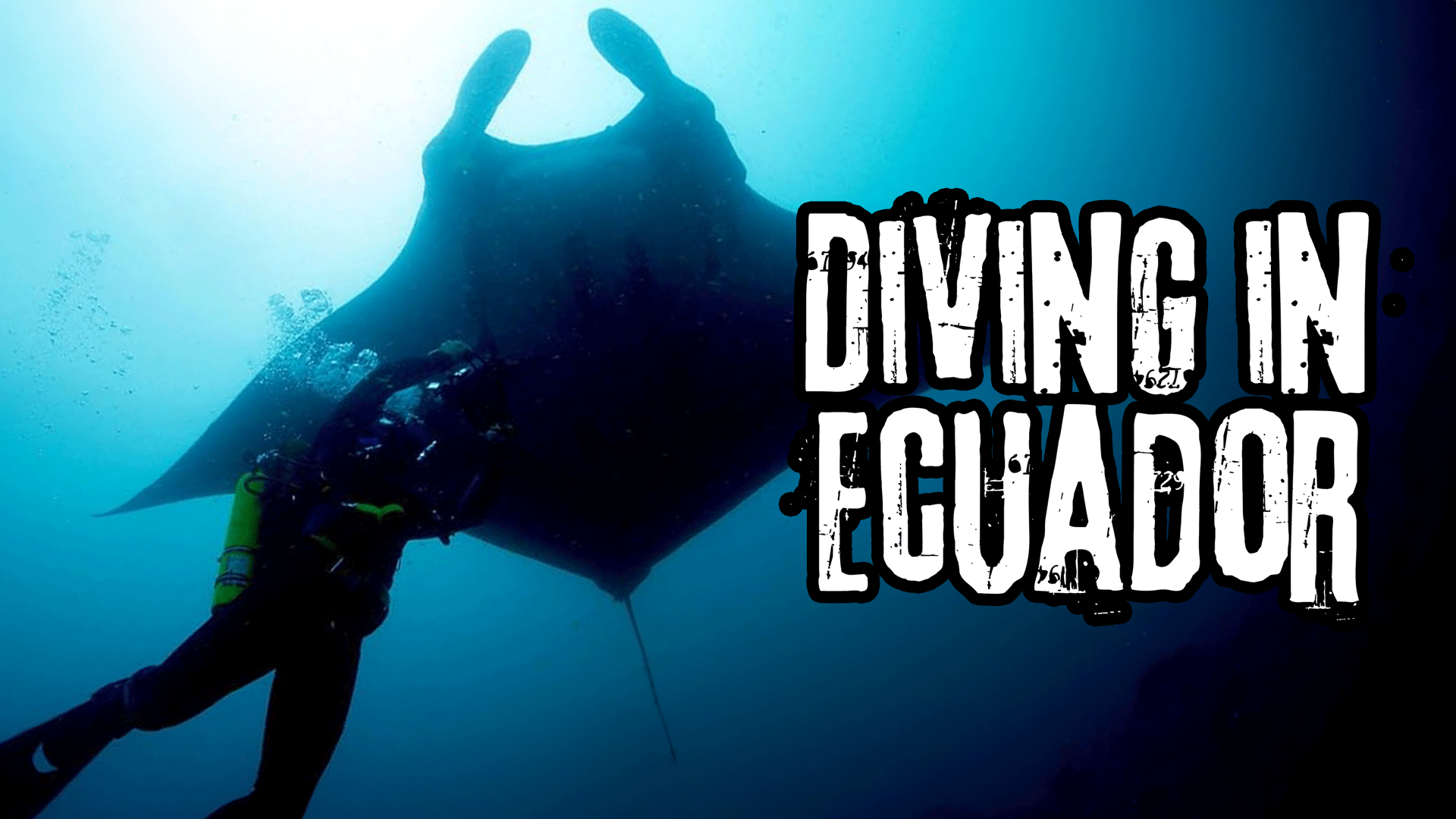 Ecuador Oceans Video & Resources | ClickView