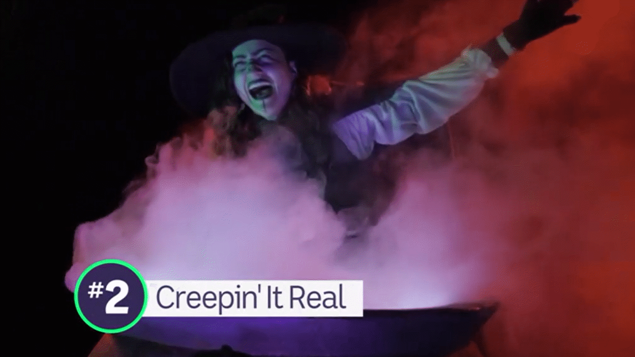 Kew Gardens Spooky Walk - Now to a spooky nig... - ClickView