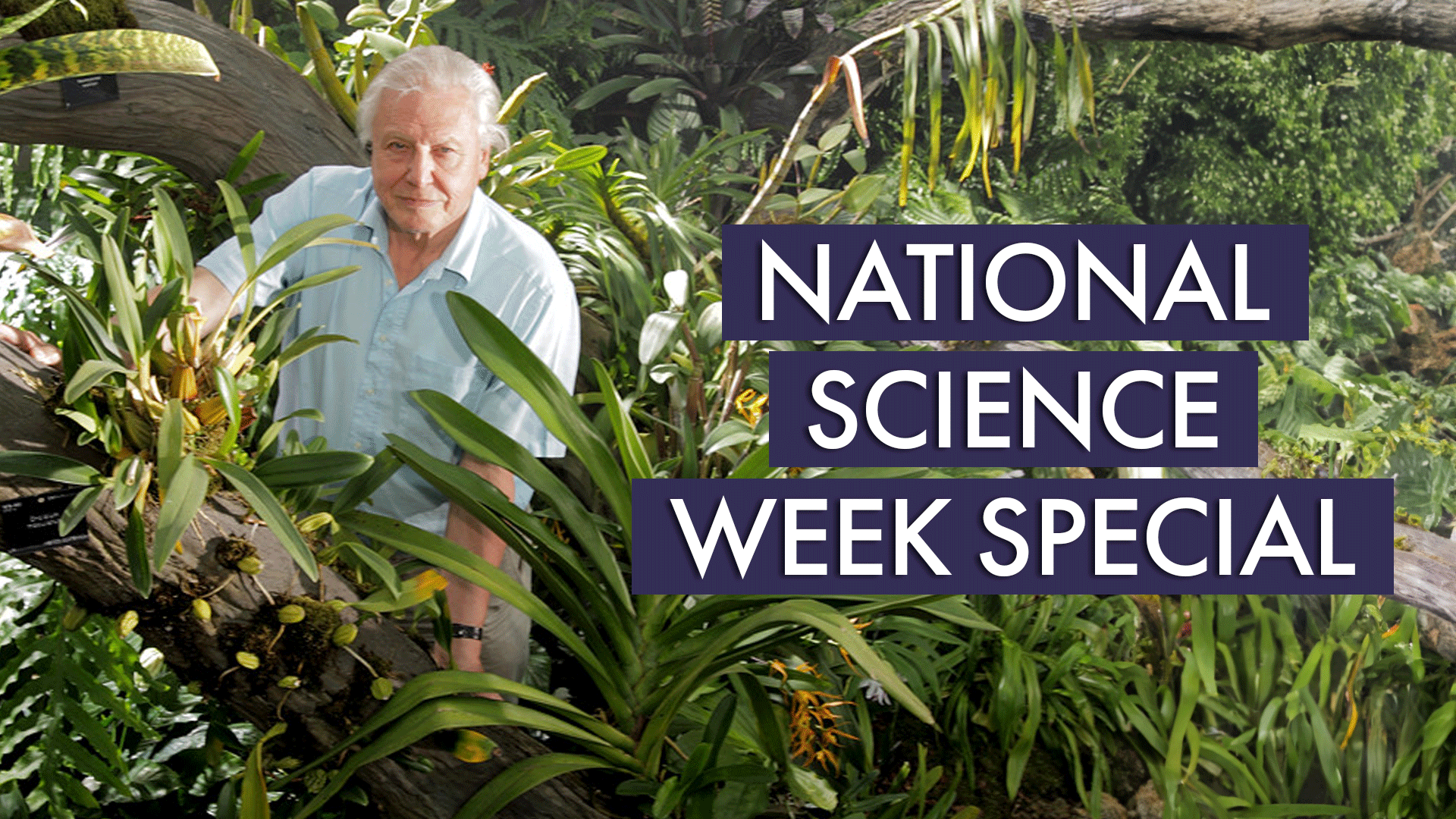 New episodes from Behind the News | ClickView