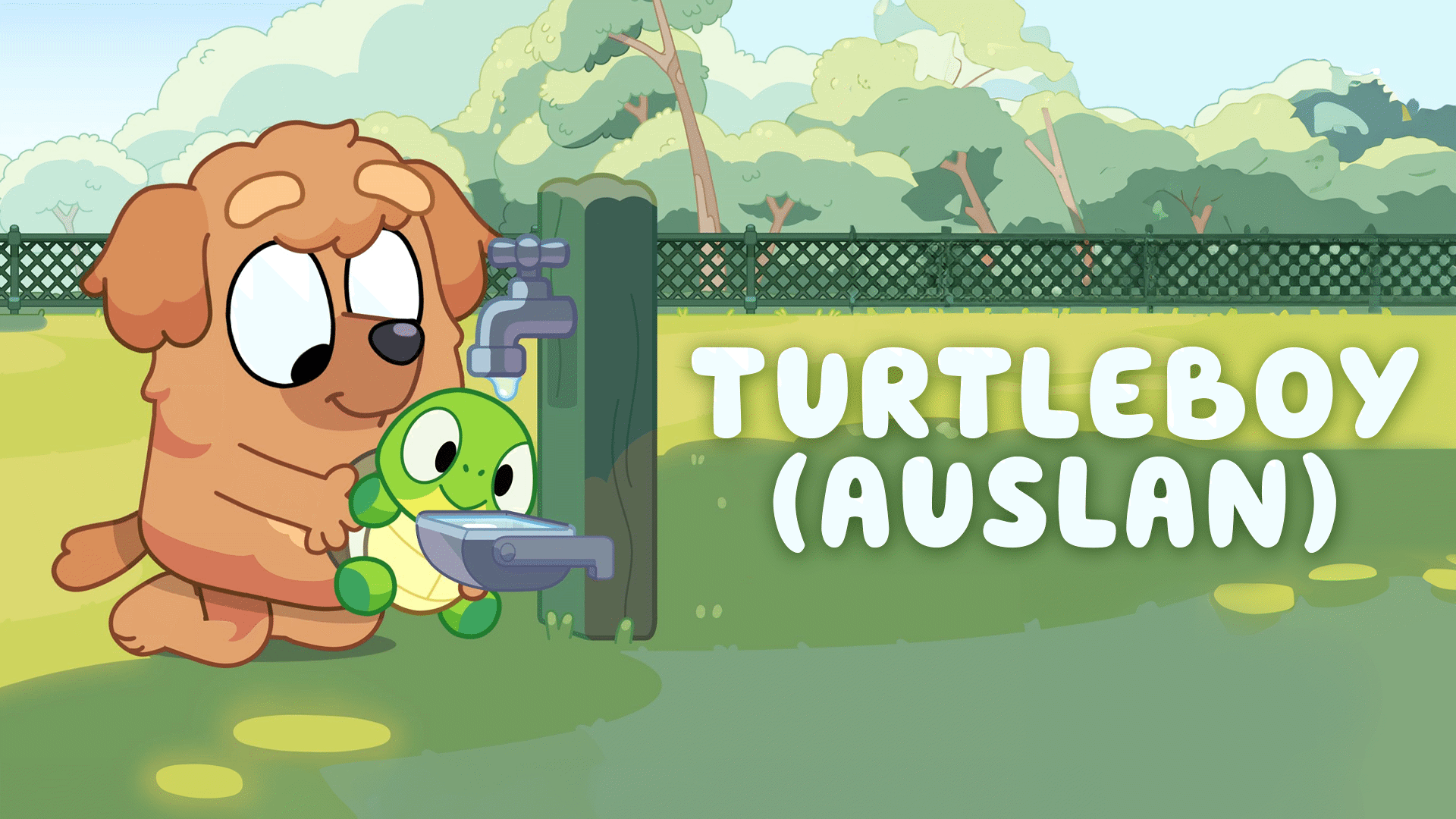 Turtleboy (Auslan) - Bingo finds a toy turtle... - ClickView