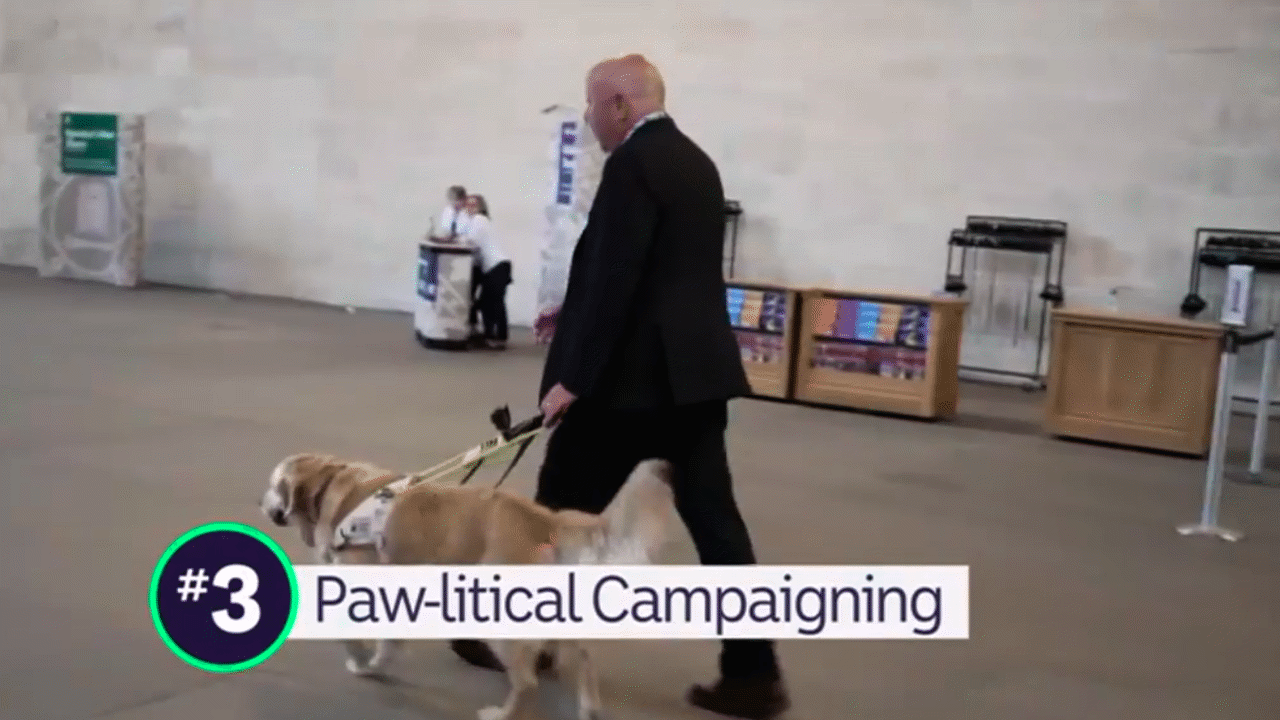 Politics Dog - And finally, to a guide dog wh... - ClickView