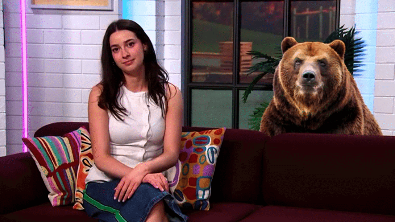 Fat Bear Week Is Here - It's the annual compe... - ClickView