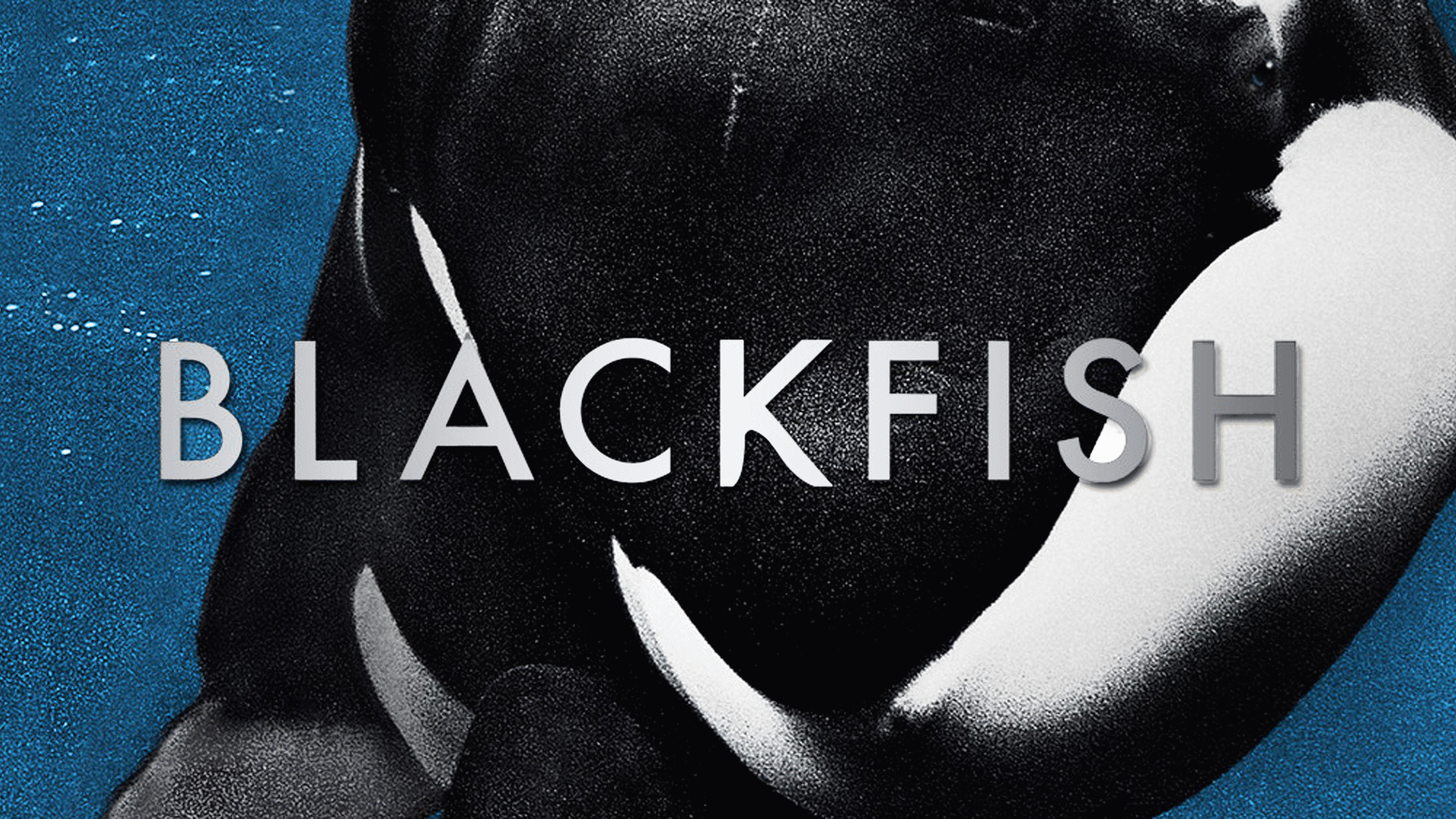 Blackfish Video & Resources | ClickView