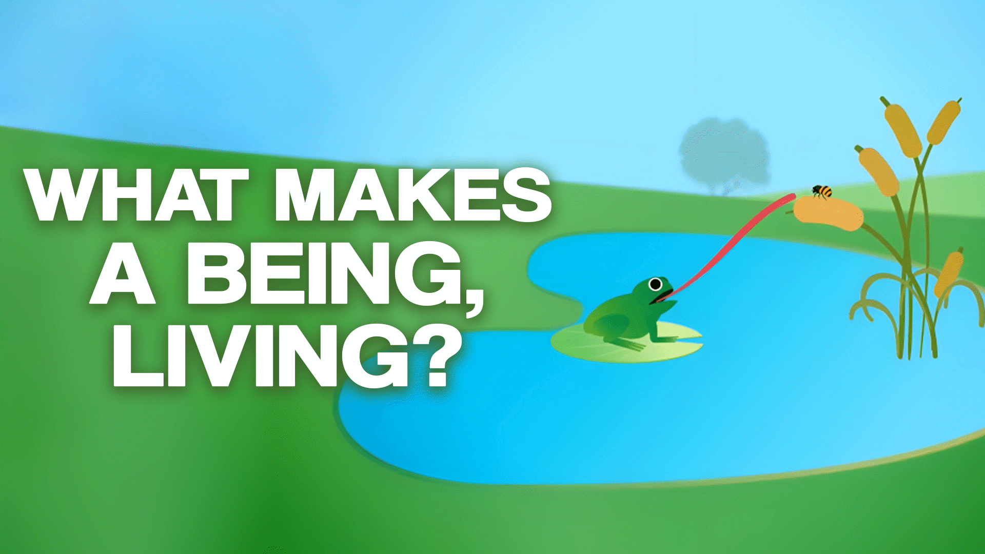 Living Beings Video & Resources | ClickView