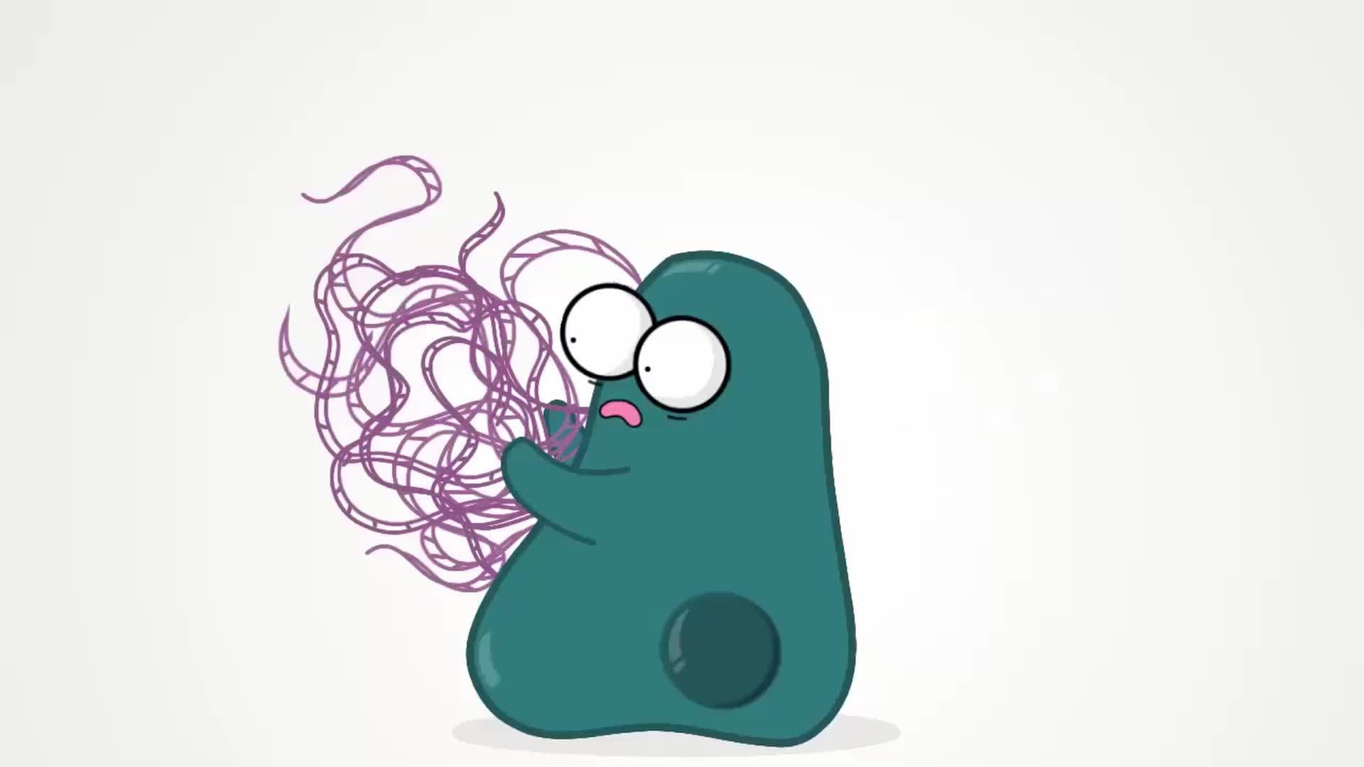 Mitosis: The Amazing Cell Process that Uses Division to Multiply ...
