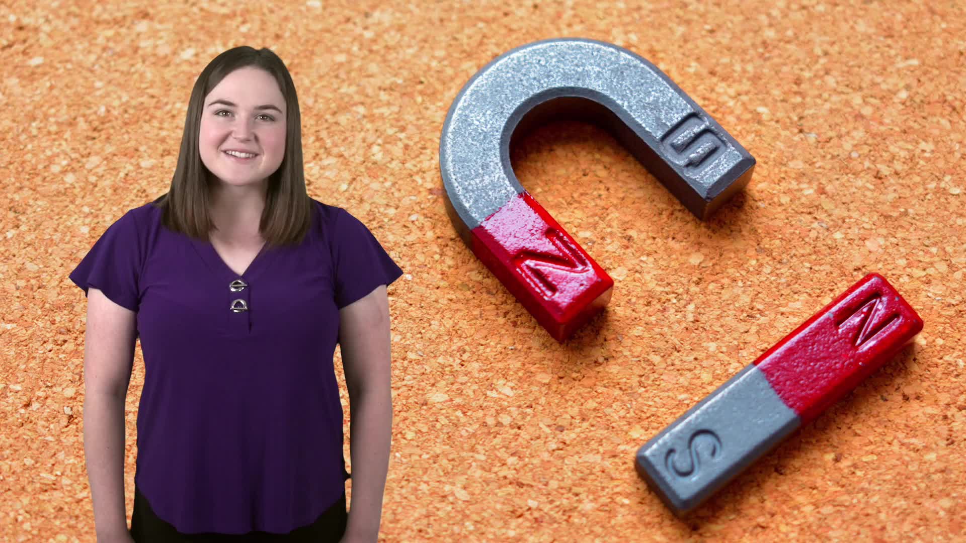 Magnetism and How Magnets Work Video & Resources | ClickView