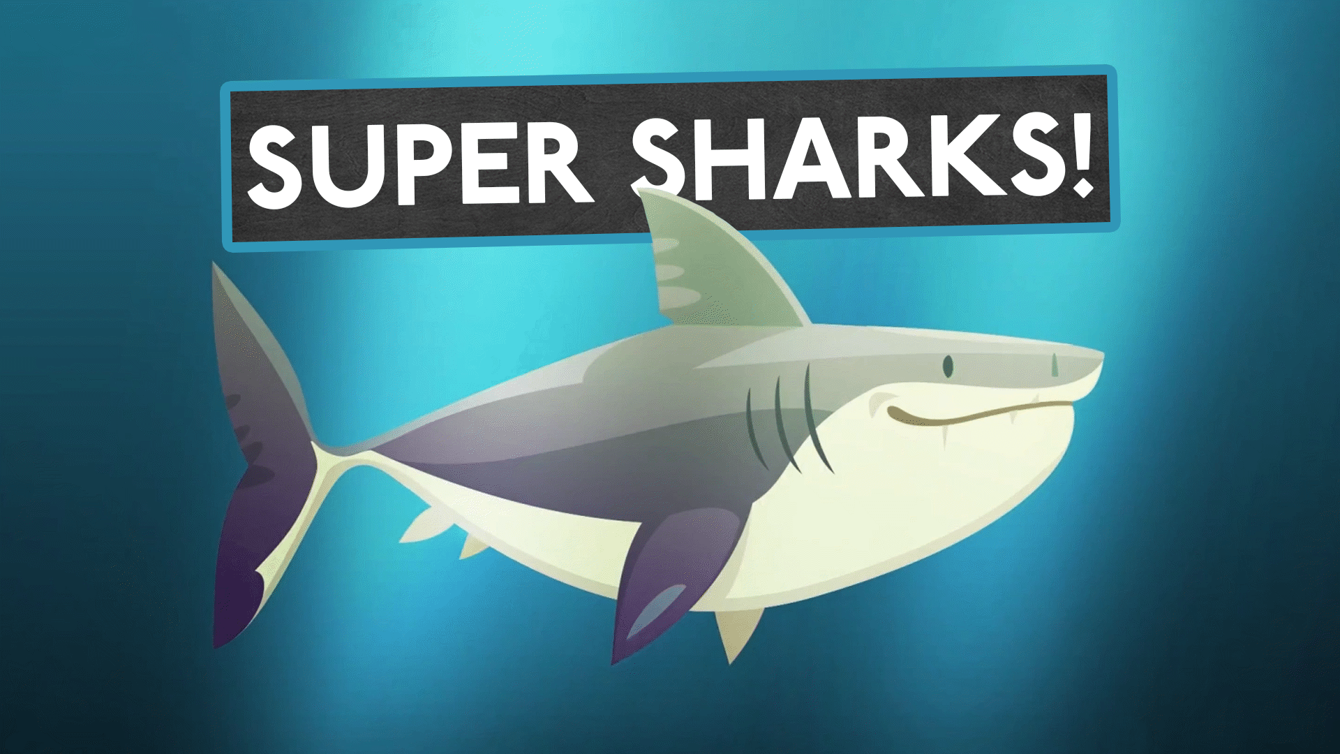 Super Sharks! Video & Resources | ClickView