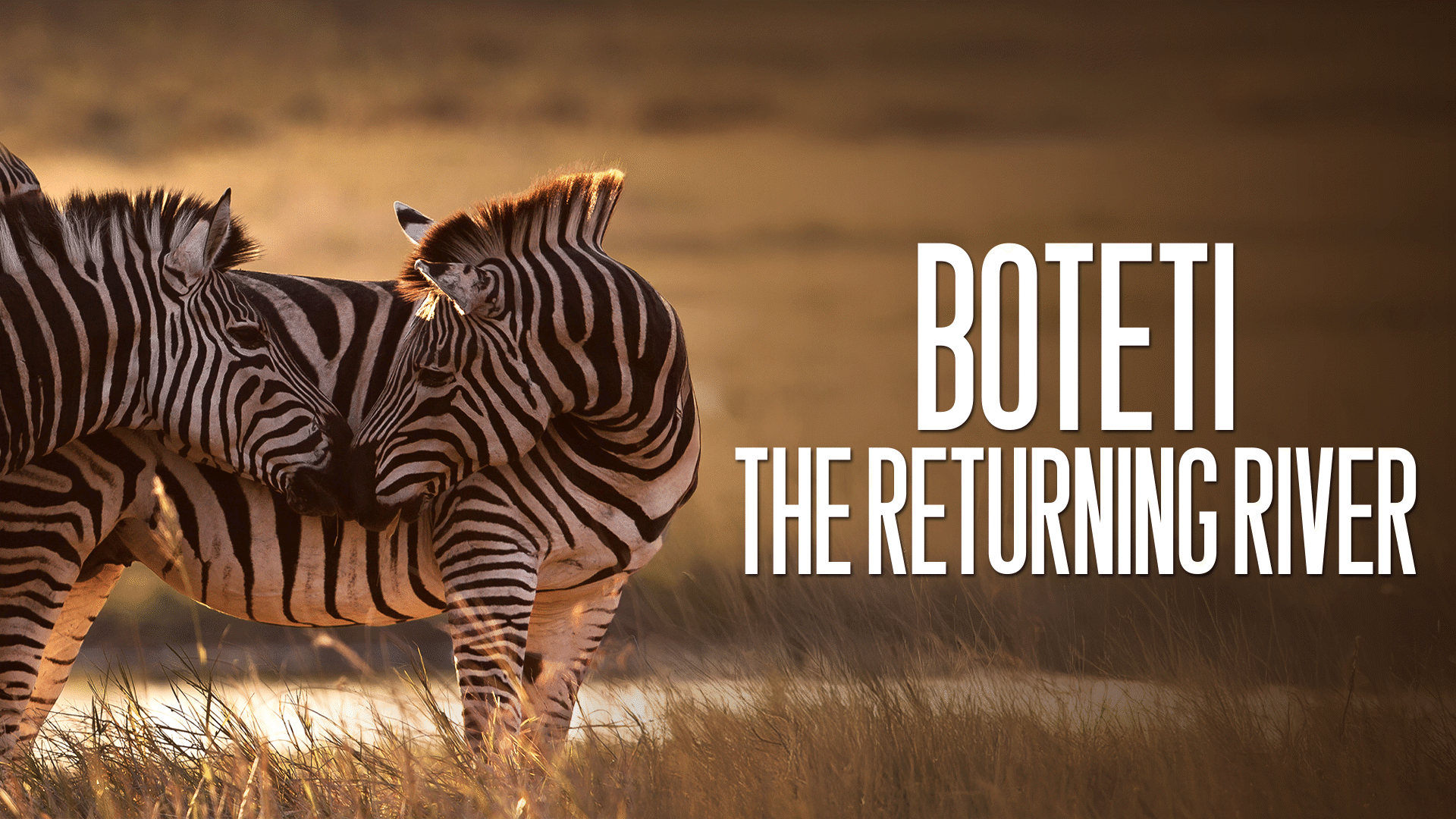 Boteti: The Returning River Video & Resources | ClickView