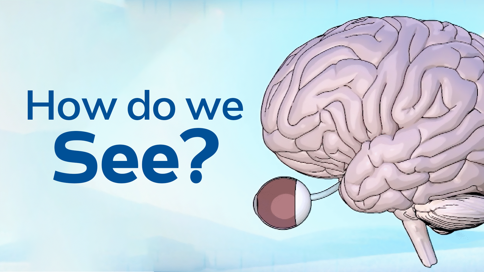 How Do We See? Video & Resources | ClickView