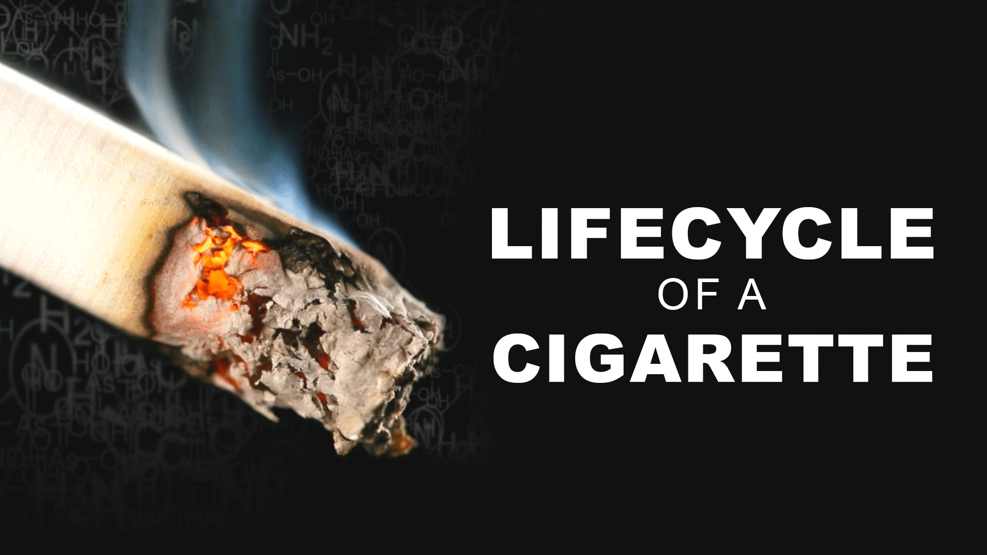 Toxic Life Cycle of a Cigarette Video & Resources | ClickView