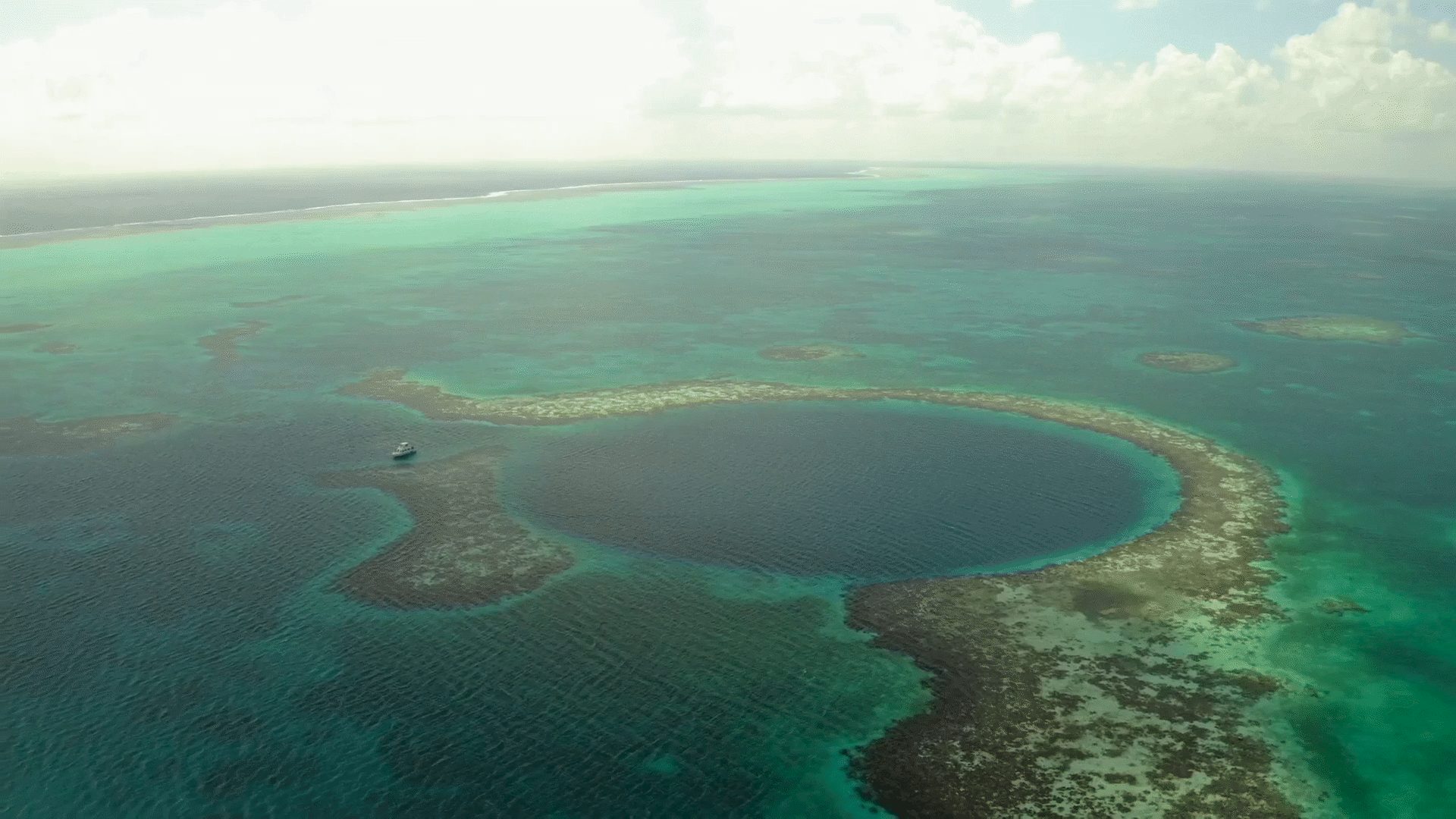 Unusual Environments Video & Resources | ClickView