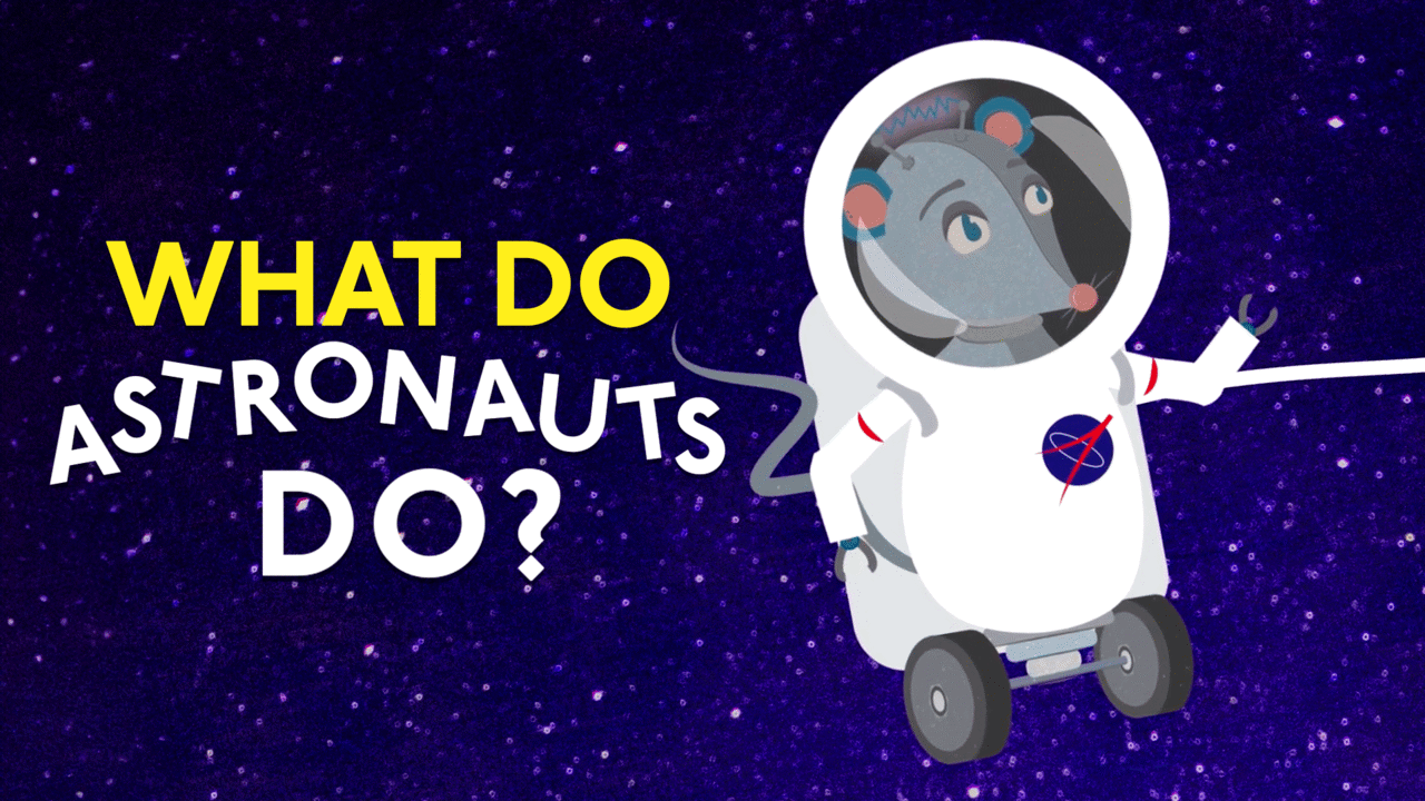 What Do Astronauts Do? Video & Resources | ClickView