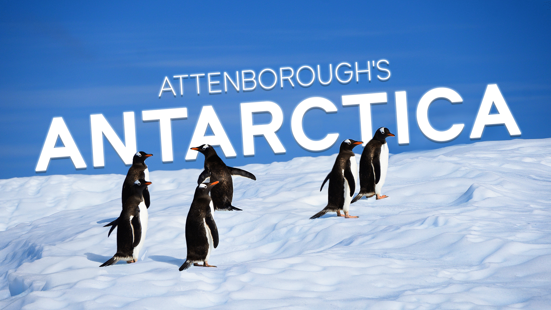 Attenborough's Seven Worlds, One Planet | ClickView