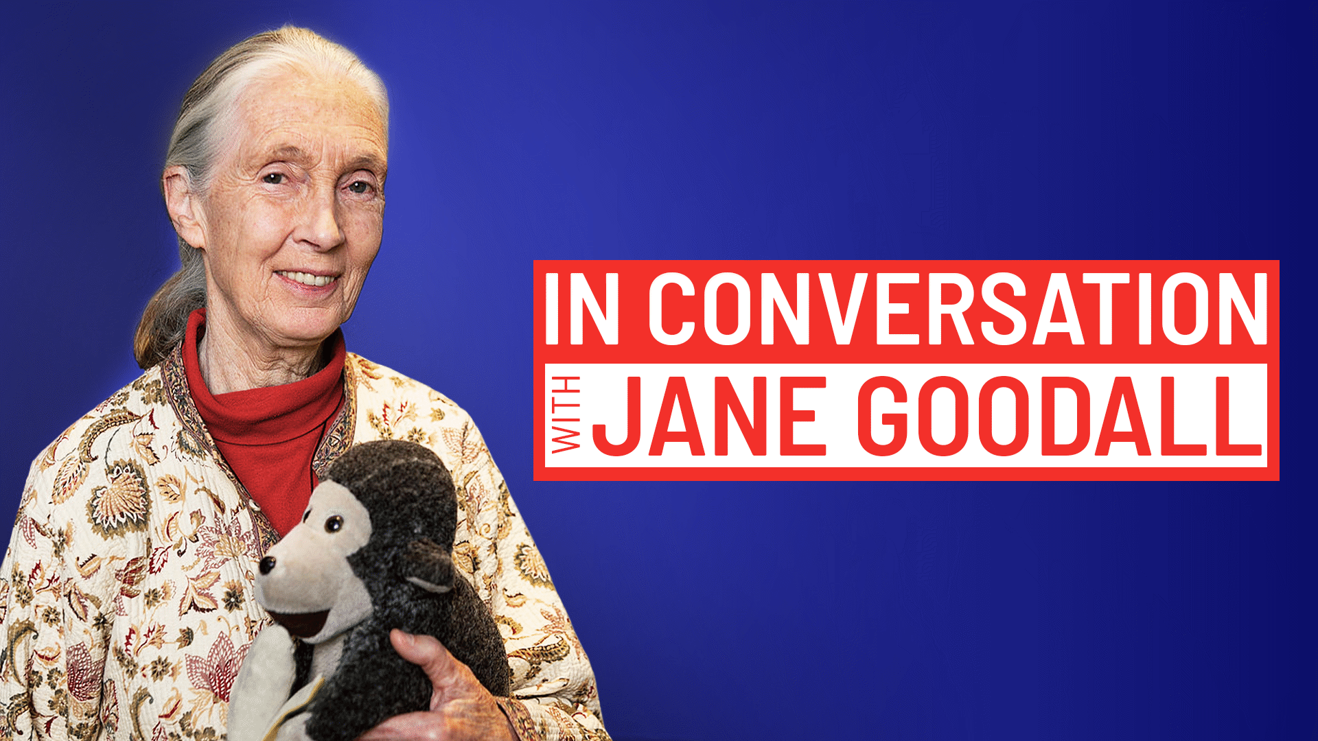 Jane Goodall Video & Resources | ClickView