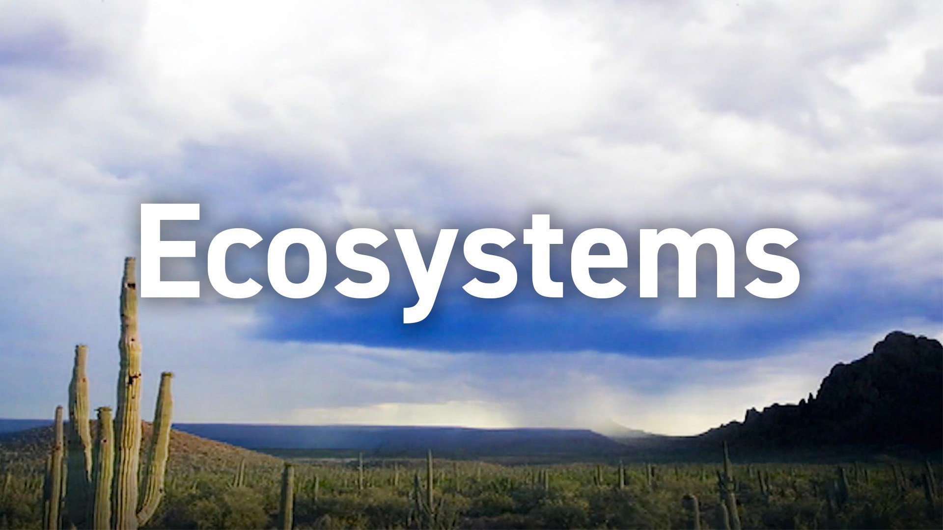 What Is an Ecosystem? Video & Resources | ClickView