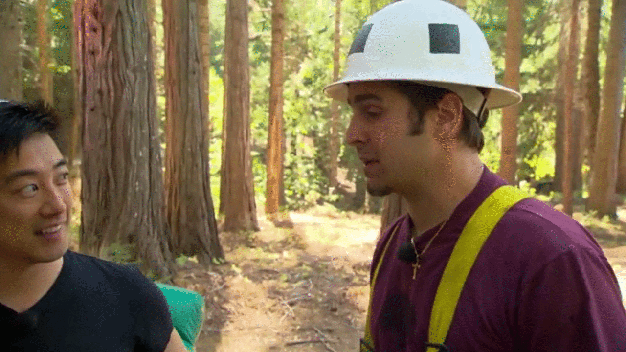 Catapulted to Fame Video & Resources | ClickView