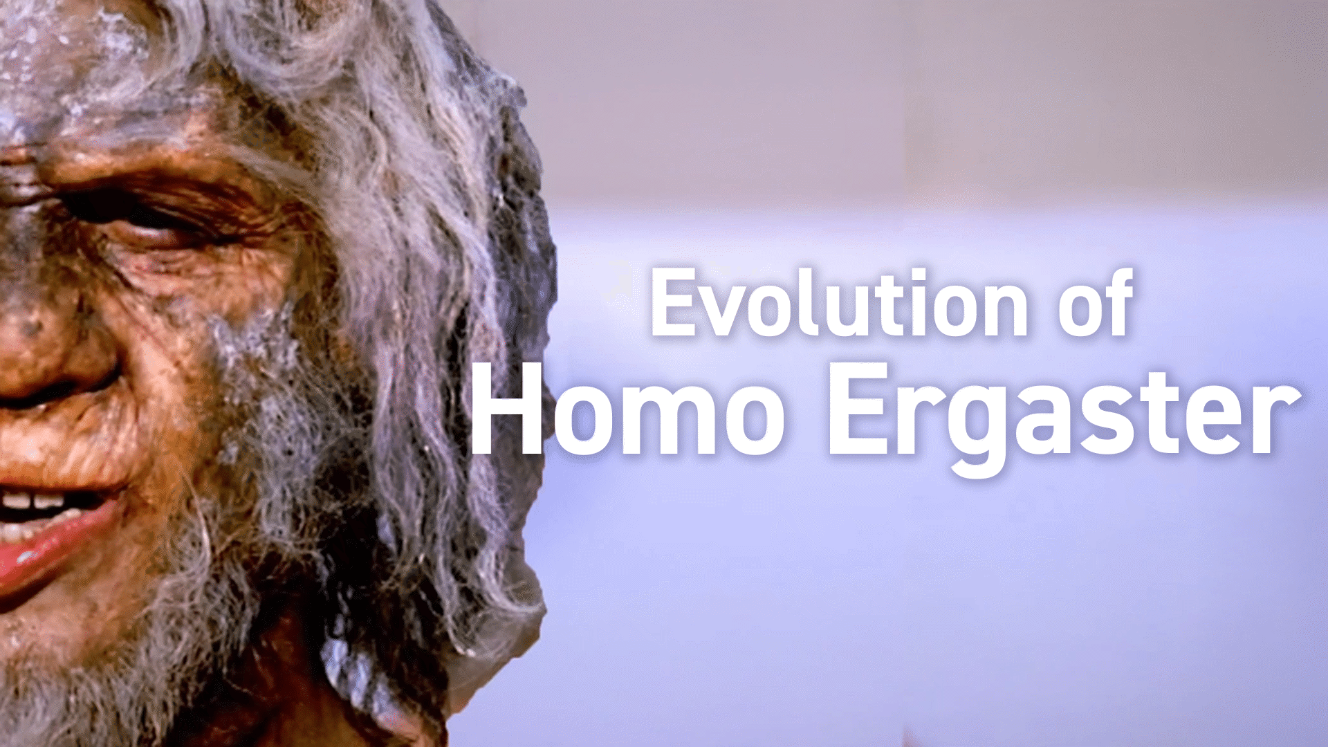 Adaptation and Evolution | ClickView