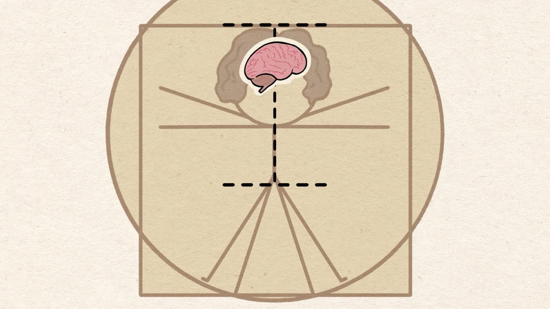 Homeostasis Videos, Resources & Worksheets | ClickView