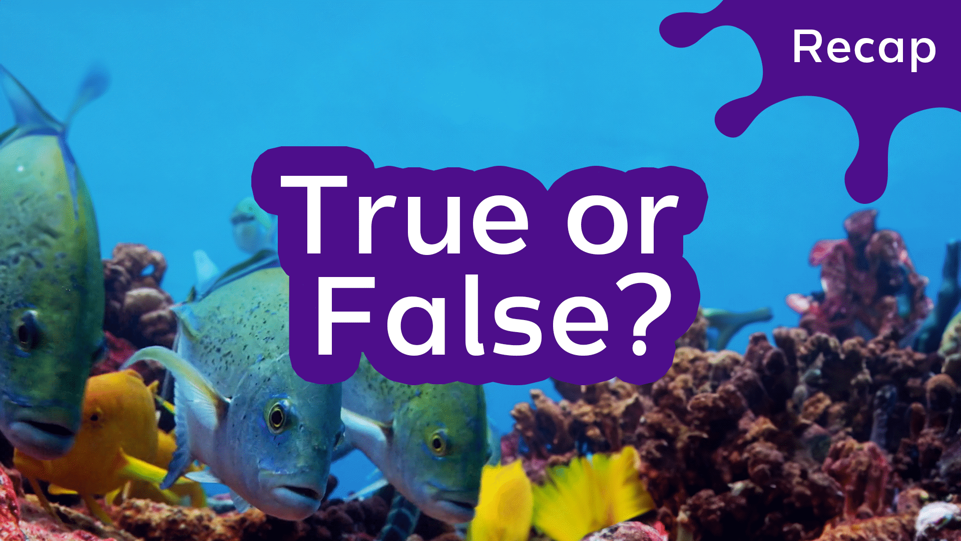 Variation and Classification | ClickView