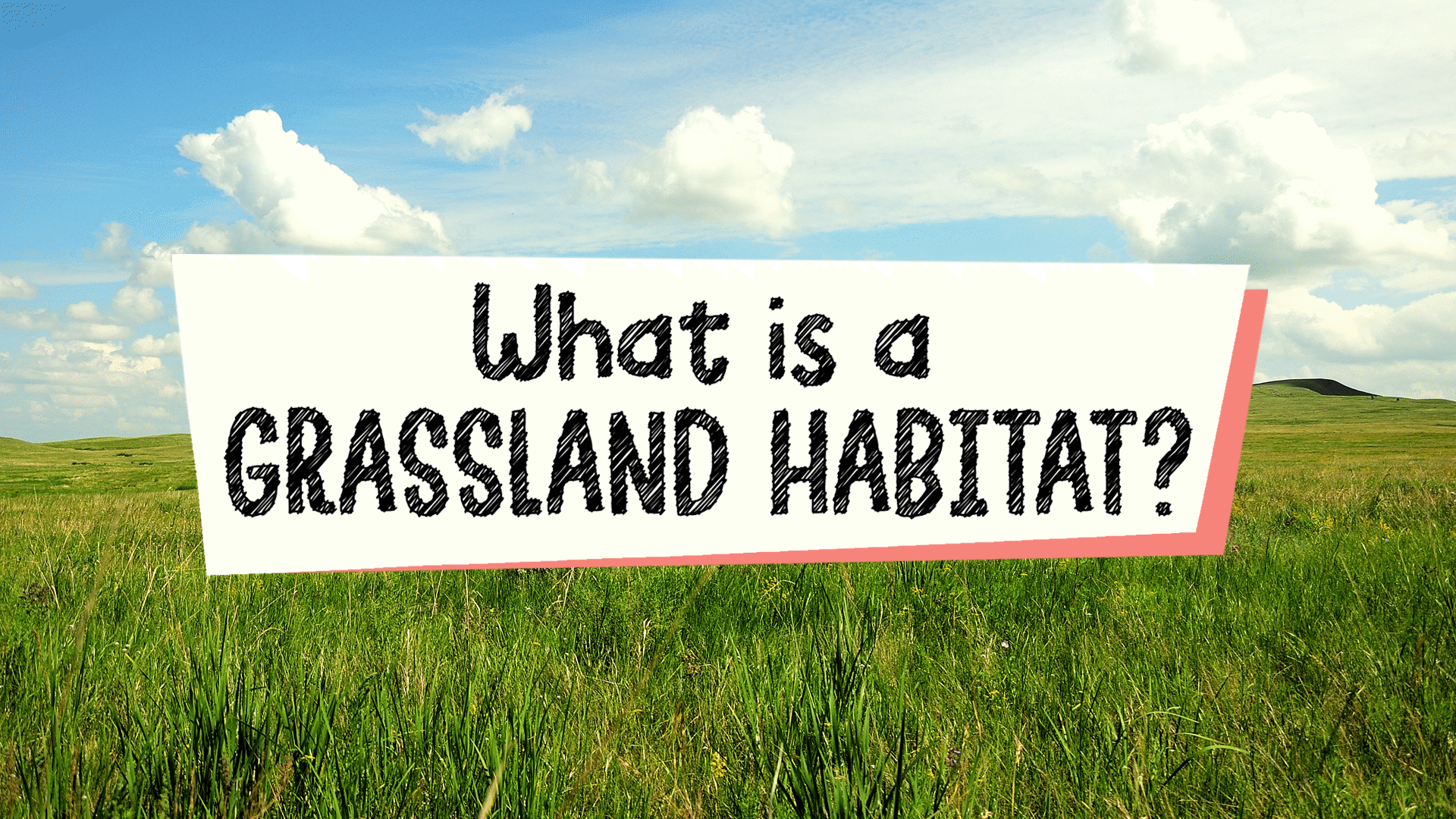 Primary Videos, Resources & Worksheets | ClickView