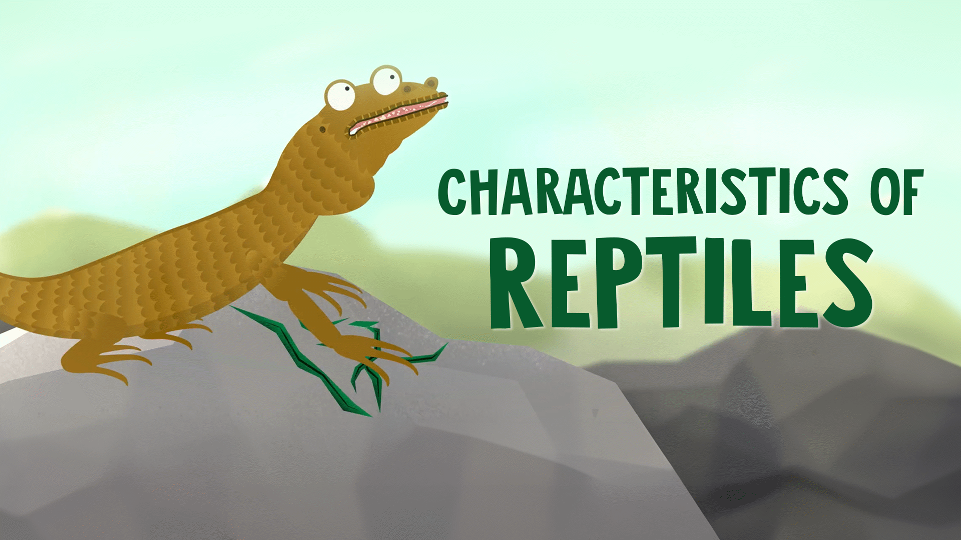 Classification Videos, Resources & Worksheets | ClickView