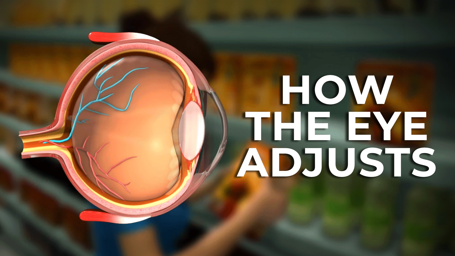 Power of Accommodation of the Human Eye | ClickView