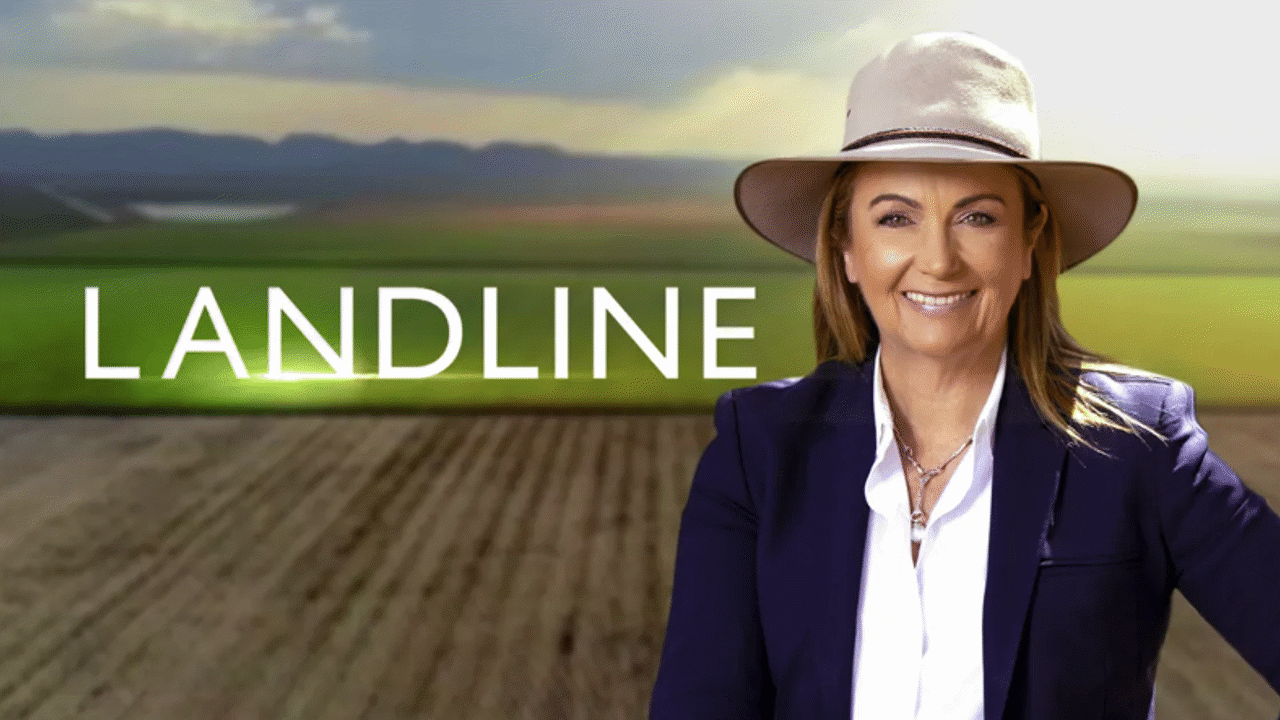 Landline - Airs 12:30 PM 26 Nov 2023 on ABCTV HD - ClickView
