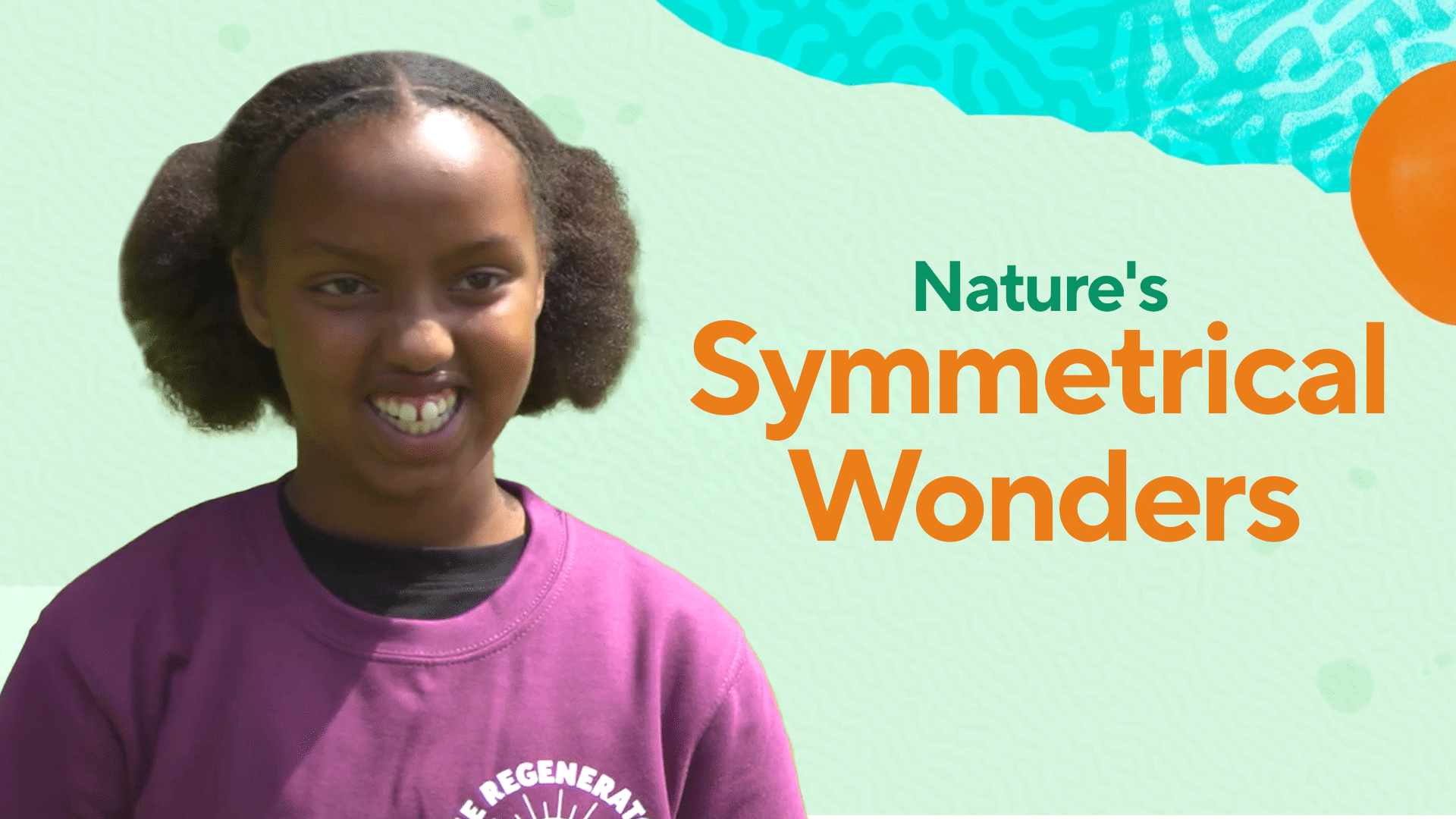 Finding Symmetry in Nature Video & Resources | ClickView