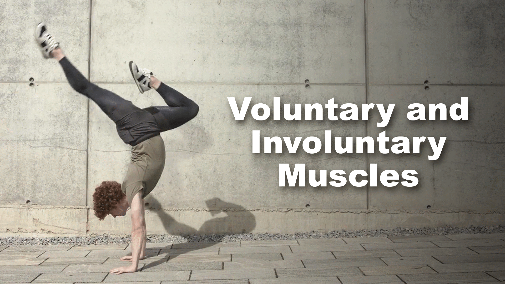 Voluntary and Involuntary Muscles | ClickView